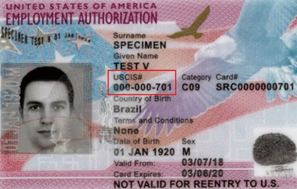 Número A: la clave para tus trámites migratorios | ITVINFO